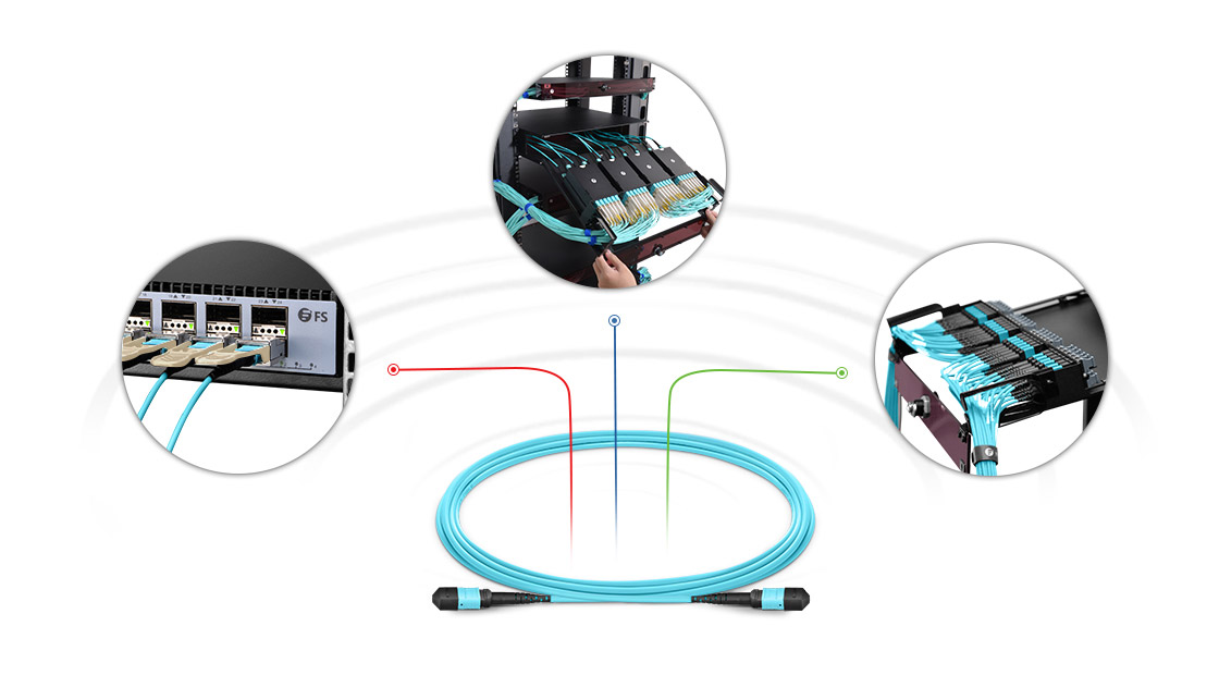 Customized 8-144 Fibers OM3 MTP-12 MTP Trunk Cable - FS Singapore