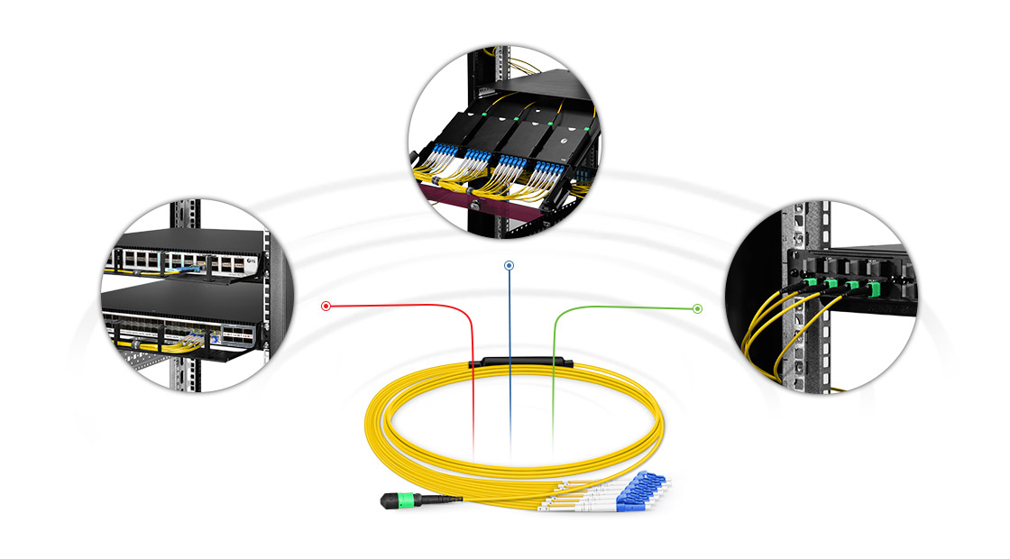 Customized 8-144Fiber SMF MTP-12 MTP Breakout Cable - FS Singapore
