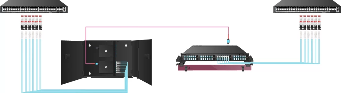 Customized Length MTP®- 24 (Female) to MTP®- 24 (Female) OM4 Multimode ...