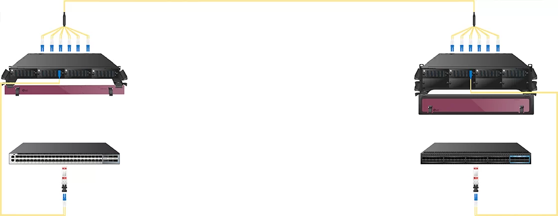 6 Port SC Fiber Adapter Panel, OS2 Single Mode Fiber - FS