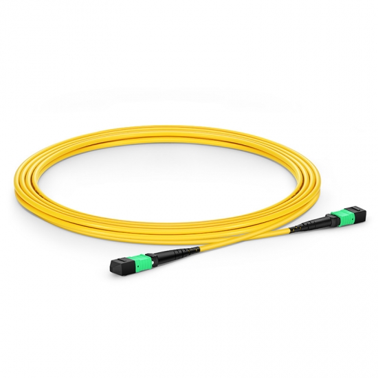 3m (10ft) 12-Fiber OS2 9/125 MTP Trunk Cable, Polarity B, OFNP | FS ...