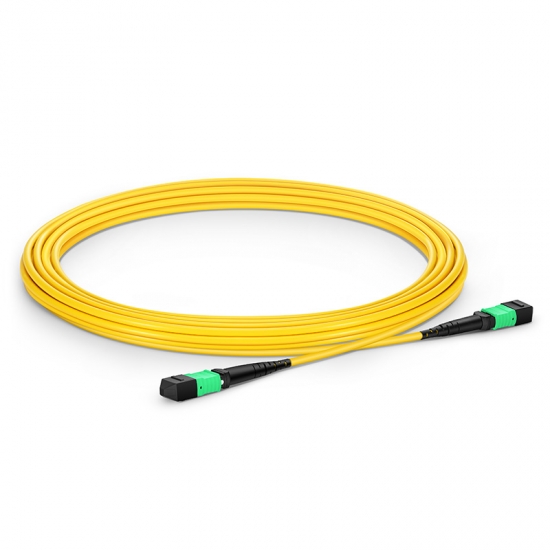 5m (16ft) 12-Fiber OS2 9/125 MTP® Trunk Cable, Polarity B, OFNP - FS