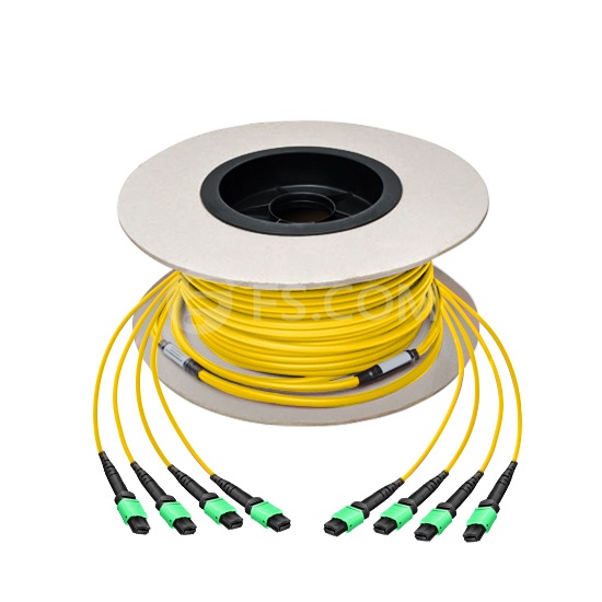 Customized 8-144 Fibers SMF MTP-12 MTP Trunk Cable | FS.COM