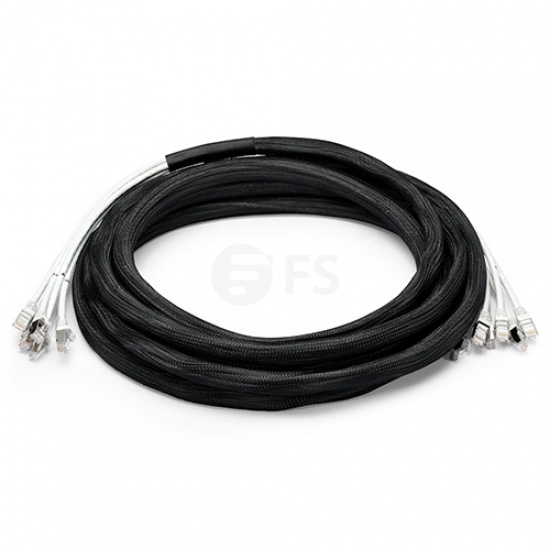 3m (10ft) 6 Plug to 6 Plug Cat6a Shielded (SFTP) PVC CMR Pre-Terminated ...