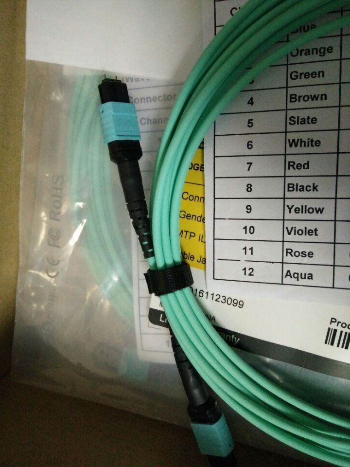 Customized 24-144 Fibers OS2 MTP-12 MTP® Trunk Cable - FS.com